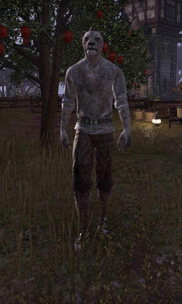 Thalar | Elder Scrolls | Fandom