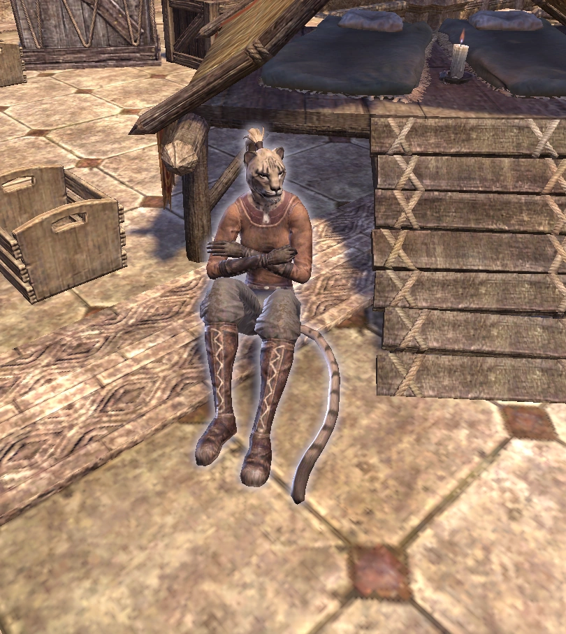 Zebabi (Online) | Elder Scrolls | Fandom