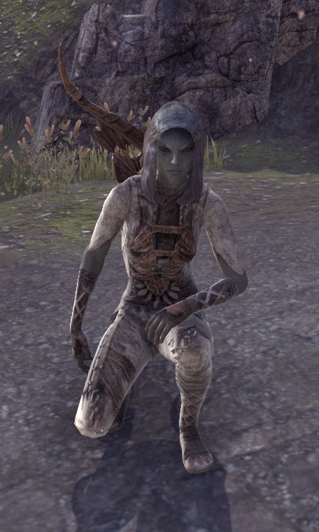 Ziddak's Marksman | Elder Scrolls | Fandom