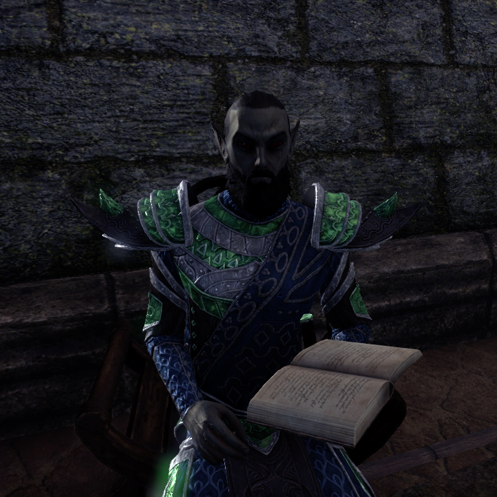Страж Эйтина The Elder Scrolls Wiki Fandom