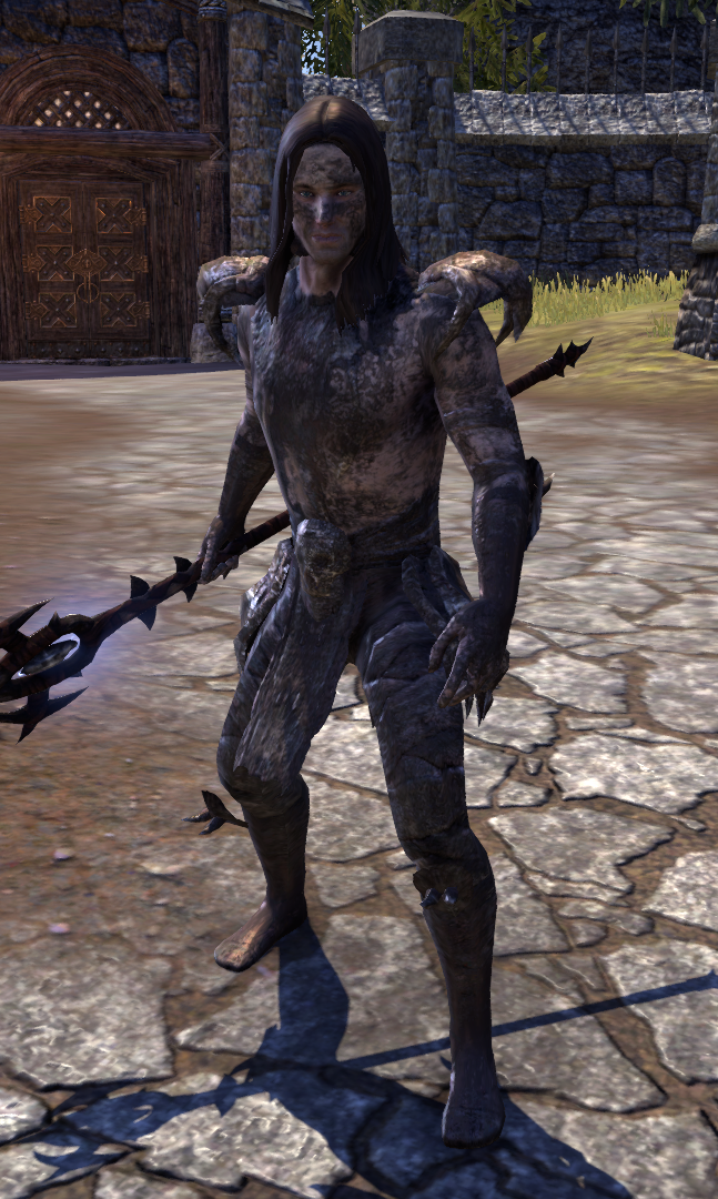 Initié Pétrogriffe Wiki The Elder Scrolls Fandom