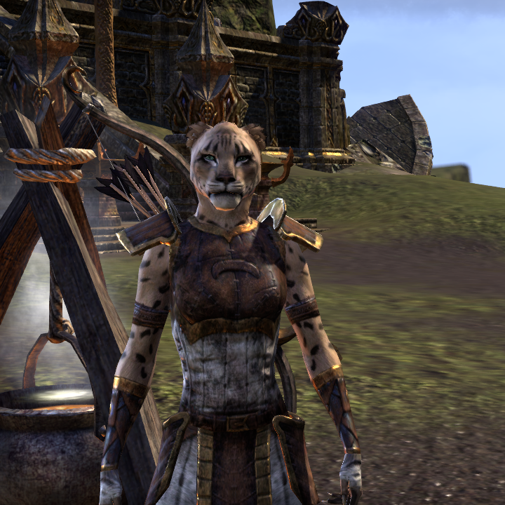 Лейтенант Самейя до The Elder Scrolls Wiki Fandom