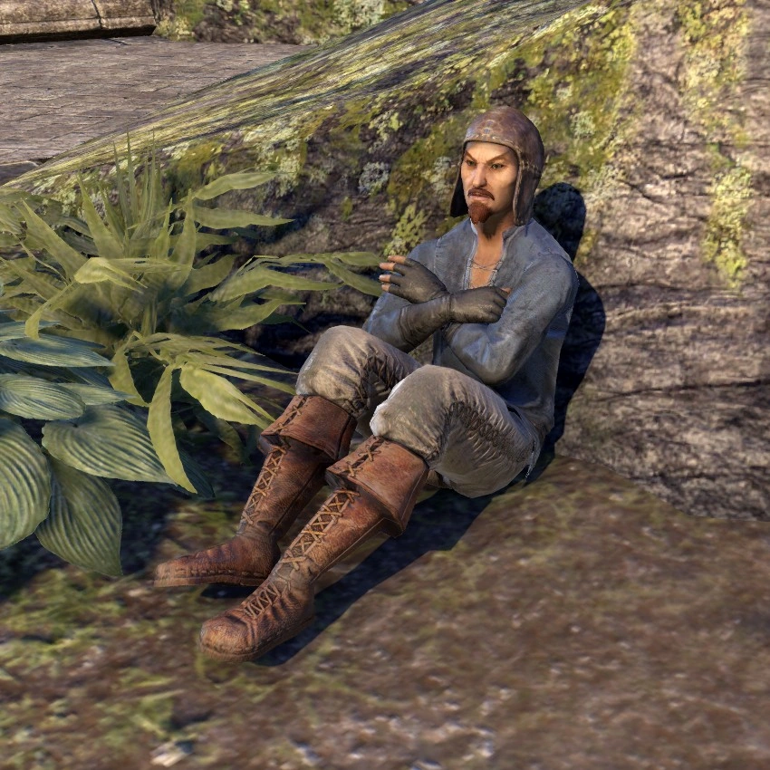 Brellin (Online) | Elder Scrolls | Fandom