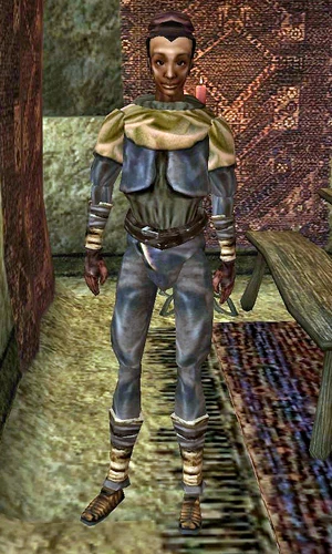 Miniel (Morrowind) | Elder Scrolls | Fandom