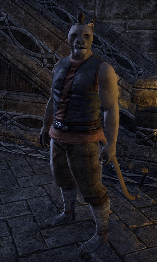 S'vanez | Elder Scrolls | Fandom