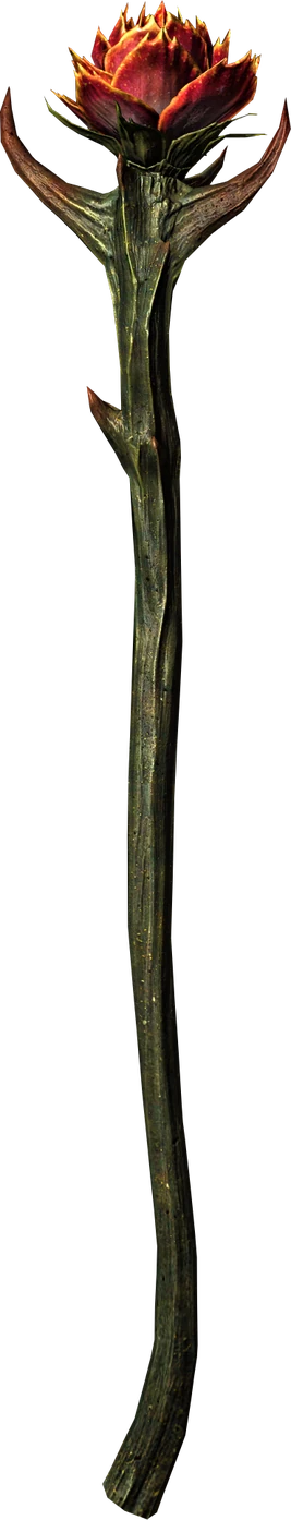 Sanguine Rose (Skyrim) | Elder Scrolls | Fandom