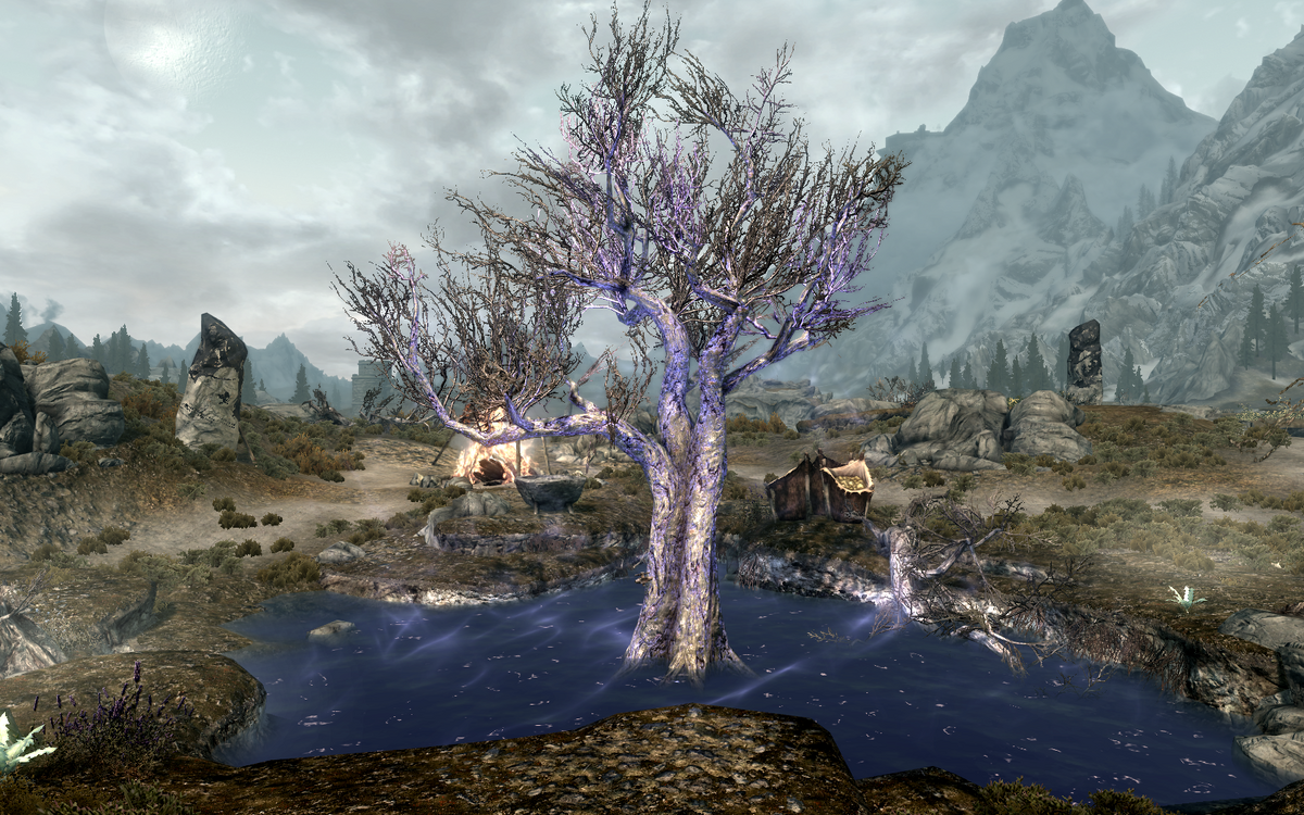 Сонное Дерево — Пещера квест The Elder Scrolls Wiki Fandom