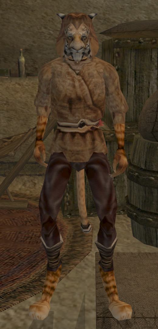 Kopfgeld Auf Drosakhar Elder Scrolls Wiki Fandom