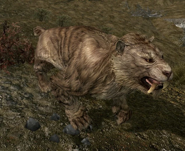 Säbelzahntiger (Skyrim) | Elder Scrolls Wiki | Fandom