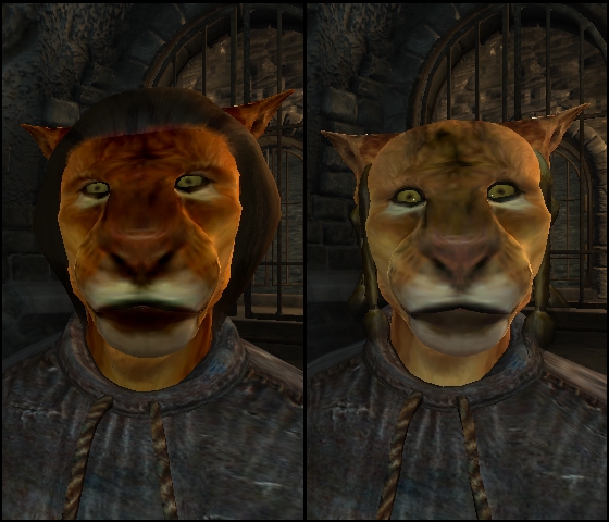 Khajiit Oblivion Elder Scrolls Wiki Fandom