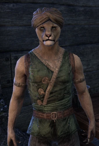 Zuzik | Elder Scrolls Wiki | Fandom