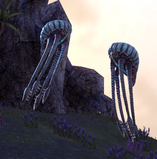 Netch (Online) | Elder Scrolls Wiki | Fandom