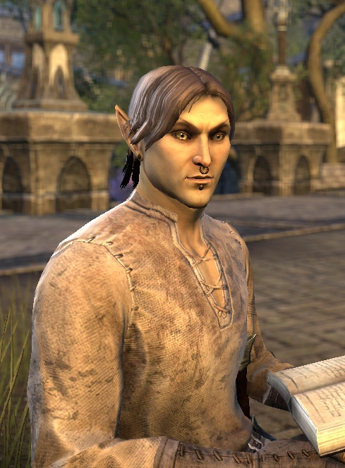 Cinnar | Elder Scrolls Wiki | Fandom