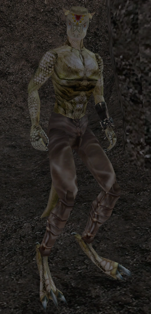 Ahaht | Elder Scrolls Wiki | Fandom