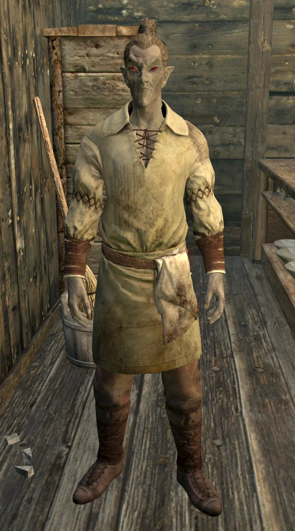 Ambarys Rendar | Elder Scrolls Wiki | Fandom