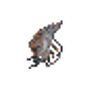 Haar eines Heiligen (Daggerfall) | Elder Scrolls Wiki | Fandom