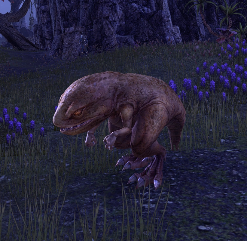 Guar (Online) | Elder Scrolls Wiki | Fandom