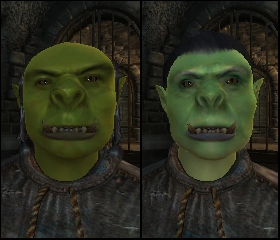 Ork (Oblivion) | Elder Scrolls Wiki | Fandom
