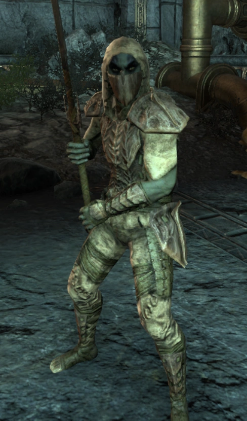 Aschexil-Brigant | Elder Scrolls Wiki | Fandom