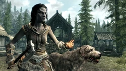 Dunmer (Skyrim) | Elder Scrolls Wiki | Fandom