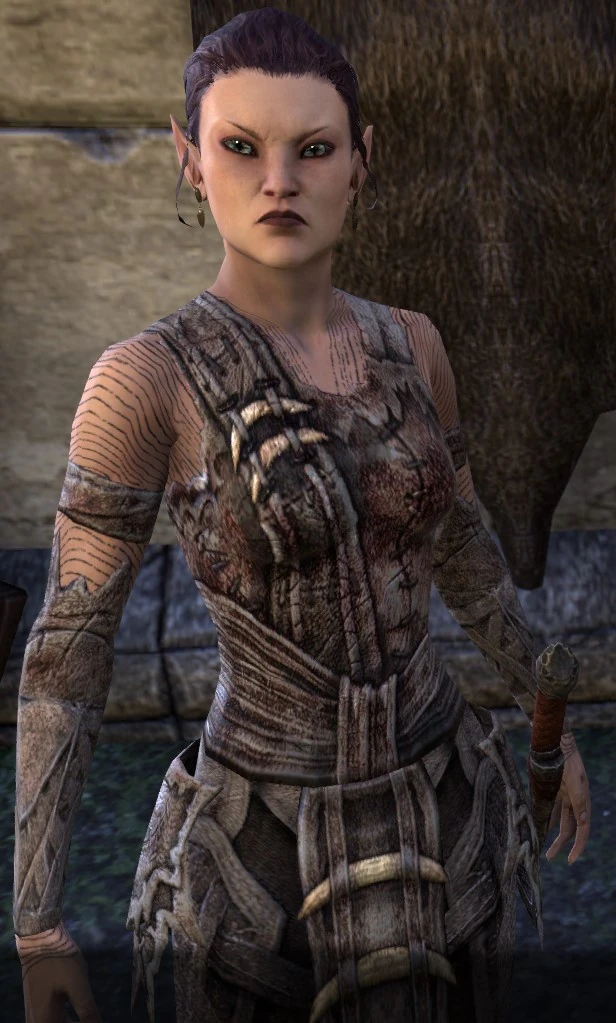 Nilleth | Elder Scrolls Wiki | Fandom