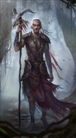 Bosmer (Legends) | Elder Scrolls Wiki | Fandom