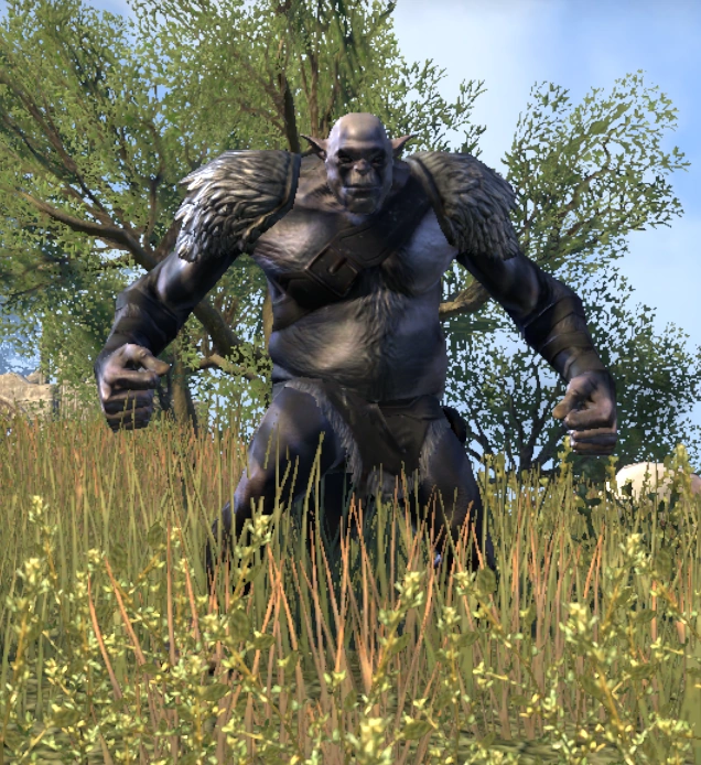 Oger (Online) | Elder Scrolls Wiki | Fandom