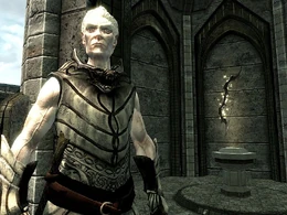 Falmer | Elder Scrolls Wiki | Fandom