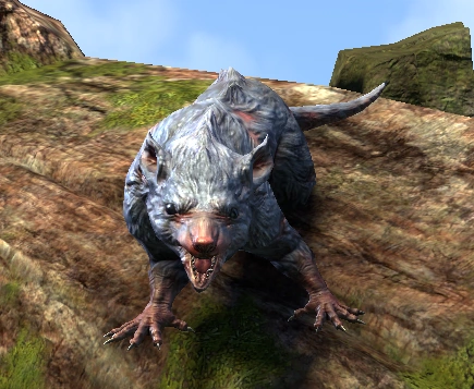 Skeever (Online) | Elder Scrolls Wiki | Fandom