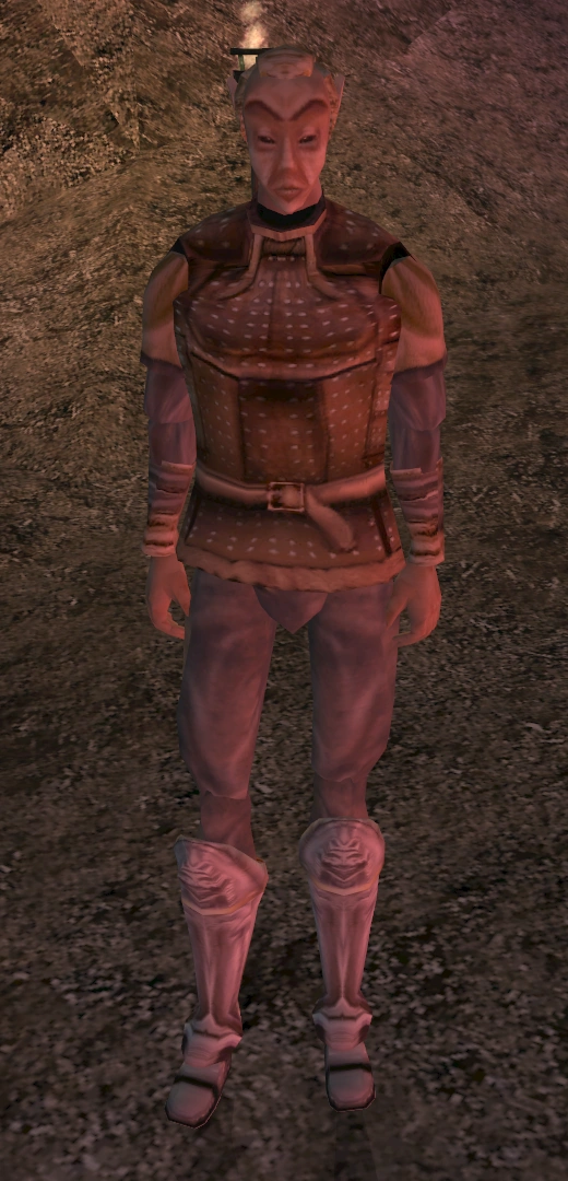 Flin für Elith-Pal | Elder Scrolls Wiki | Fandom