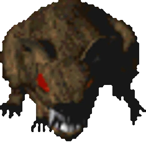 Ratte (Daggerfall) | Elder Scrolls Wiki | Fandom