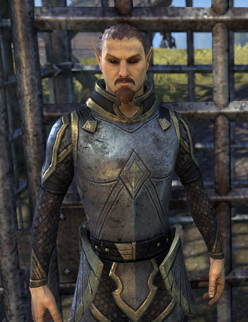 Erster Maat Valion | Elder Scrolls Wiki | Fandom