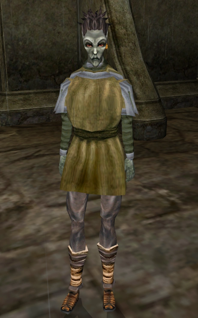 Balyn Omavel | Elder Scrolls Wiki | Fandom