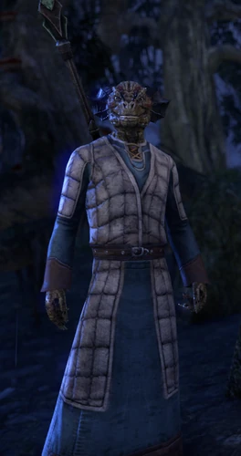 Neelo | Elder Scrolls Wiki | Fandom