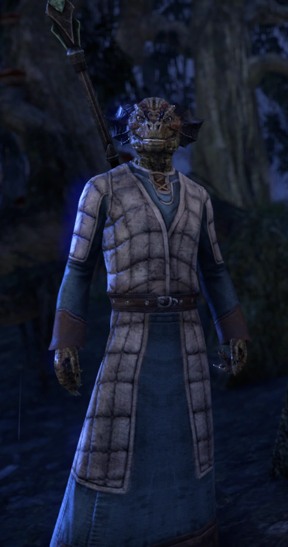 Neelo | Elder Scrolls Wiki | Fandom