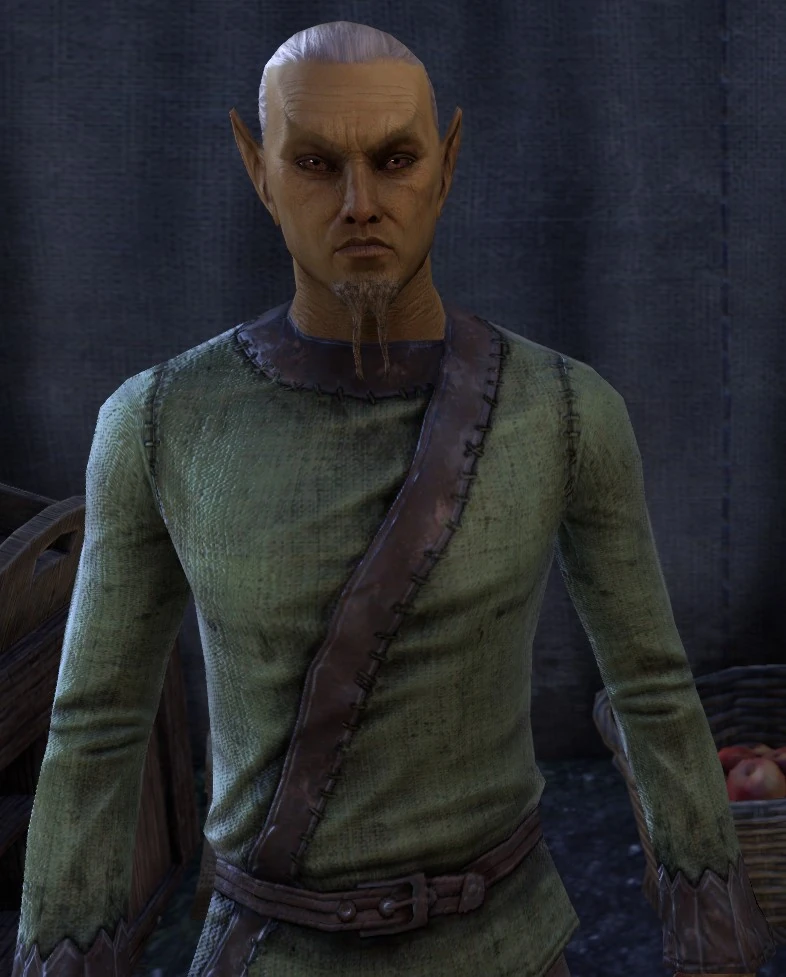 Qamtir | Elder Scrolls Wiki | Fandom