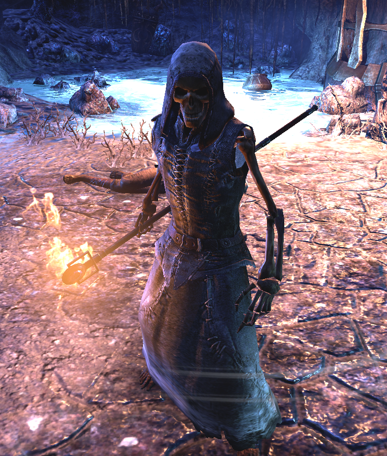 Skelett Pyromant Elder Scrolls Wiki Fandom
