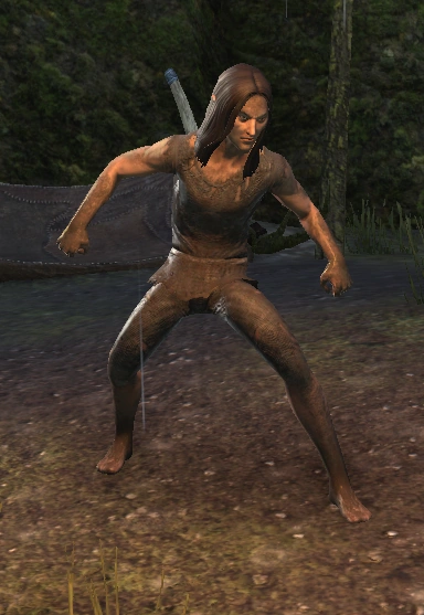 Wilder Bosmer | Elder Scrolls Wiki | Fandom