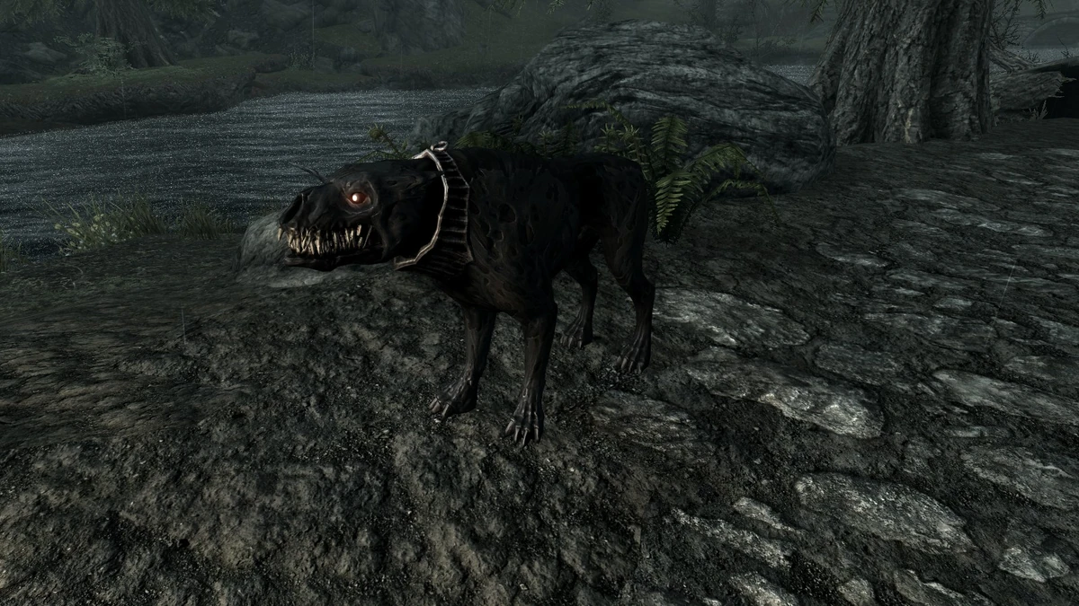 CuSith | Elder Scrolls Wiki | Fandom