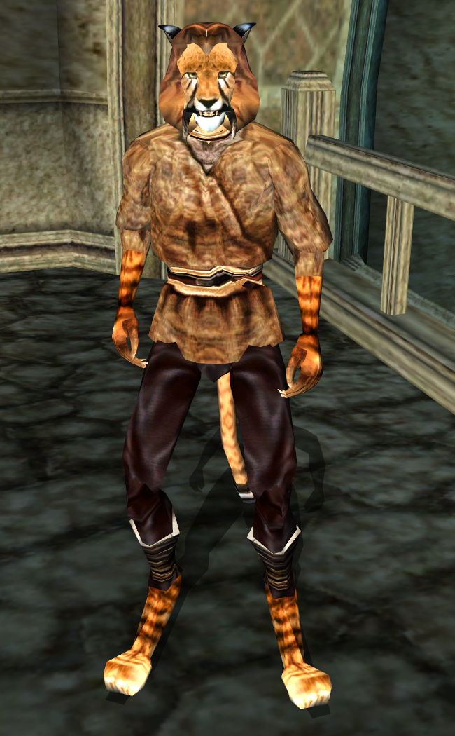 Drotasarr Elder Scrolls Wiki Fandom