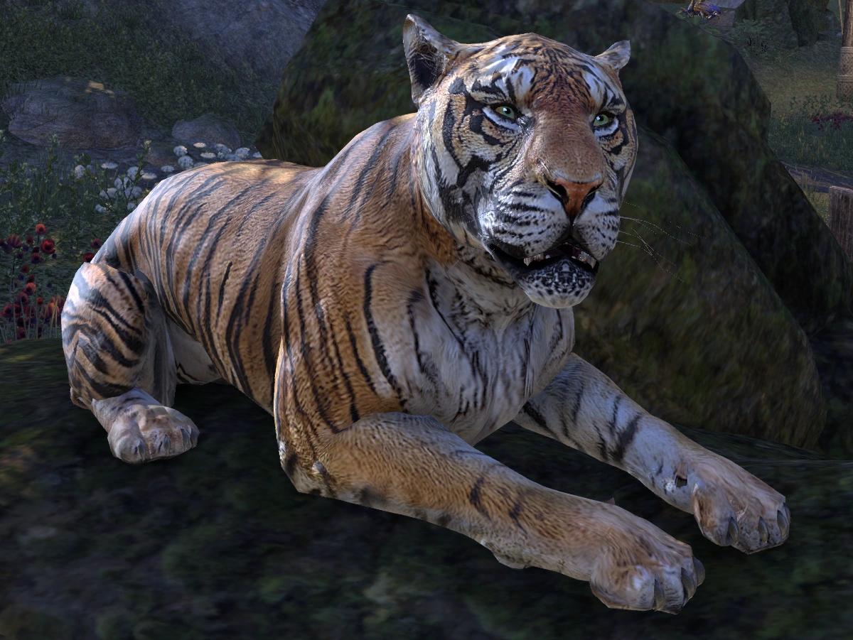 Radusha | Elder Scrolls Wiki | Fandom