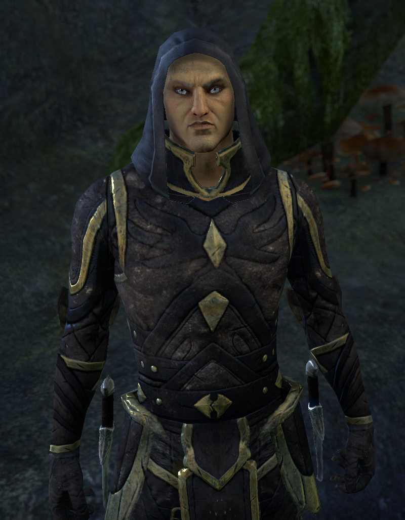 Faust Des Thalmor Person Elder Scrolls Wiki Fandom