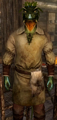 Talen-Jei | Elder Scrolls Wiki | Fandom