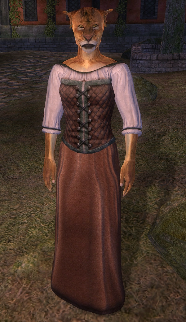 Shamada | Elder Scrolls Wiki | Fandom