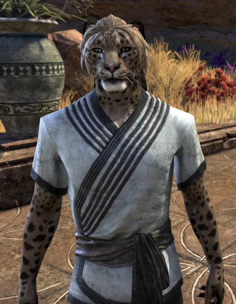 Adept Runji | Elder Scrolls Wiki | Fandom