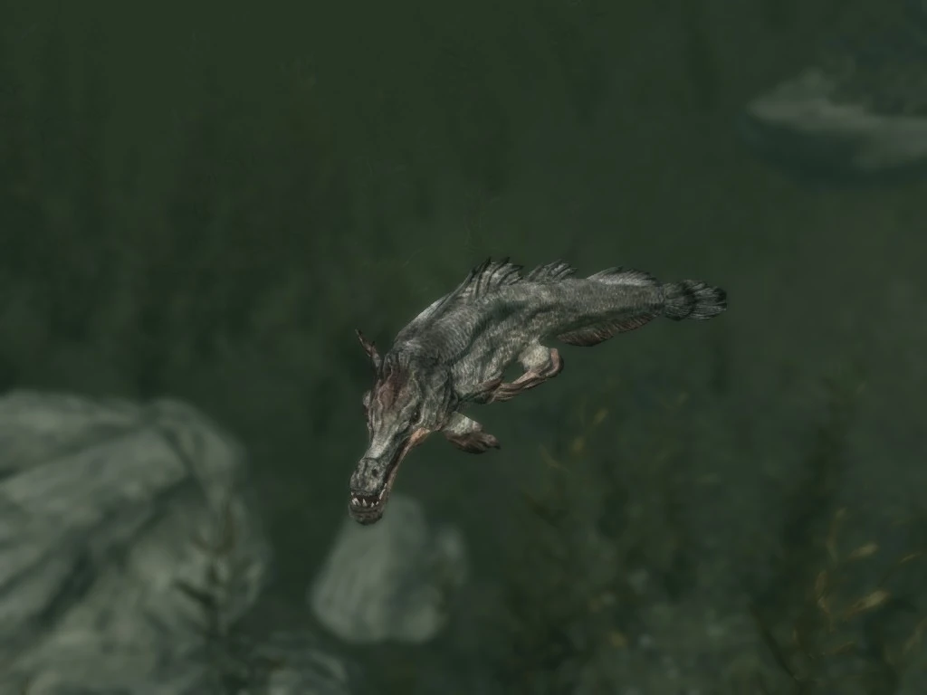 Schlachterfisch (Skyrim) | Elder Scrolls Wiki | Fandom