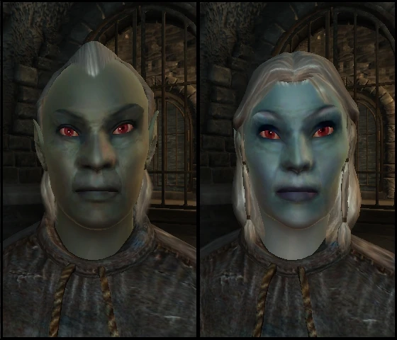 Dunmer (Oblivion) | Elder Scrolls Wiki | Fandom
