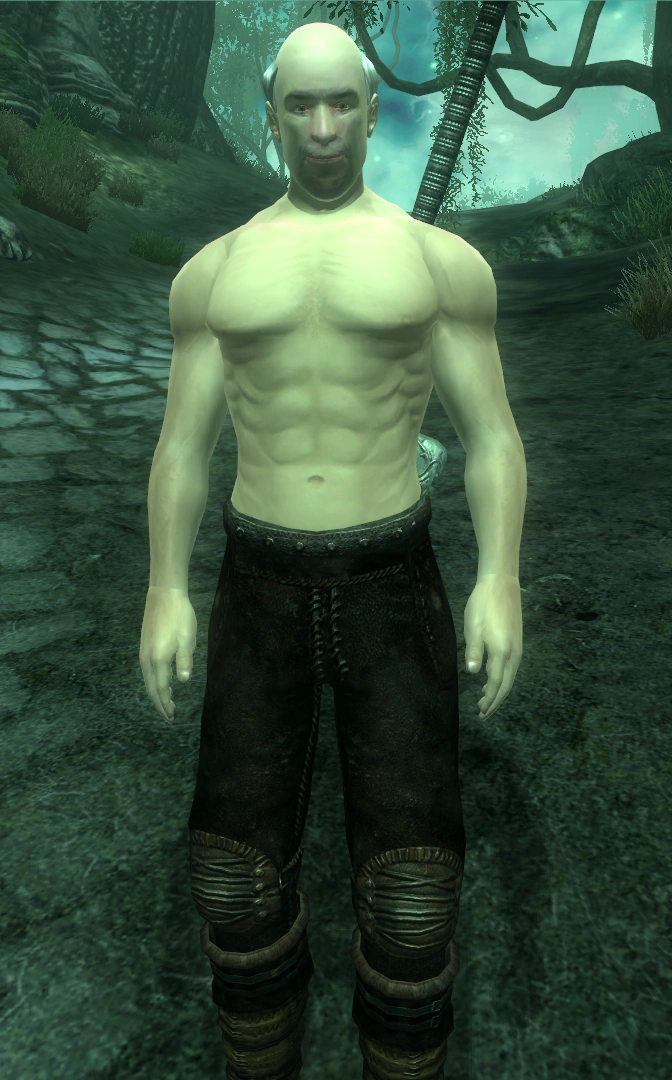 Yngvar Schwarzseher | Elder Scrolls Wiki | Fandom