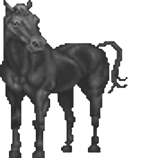 Pferd (Daggerfall) | Elder Scrolls Wiki | Fandom