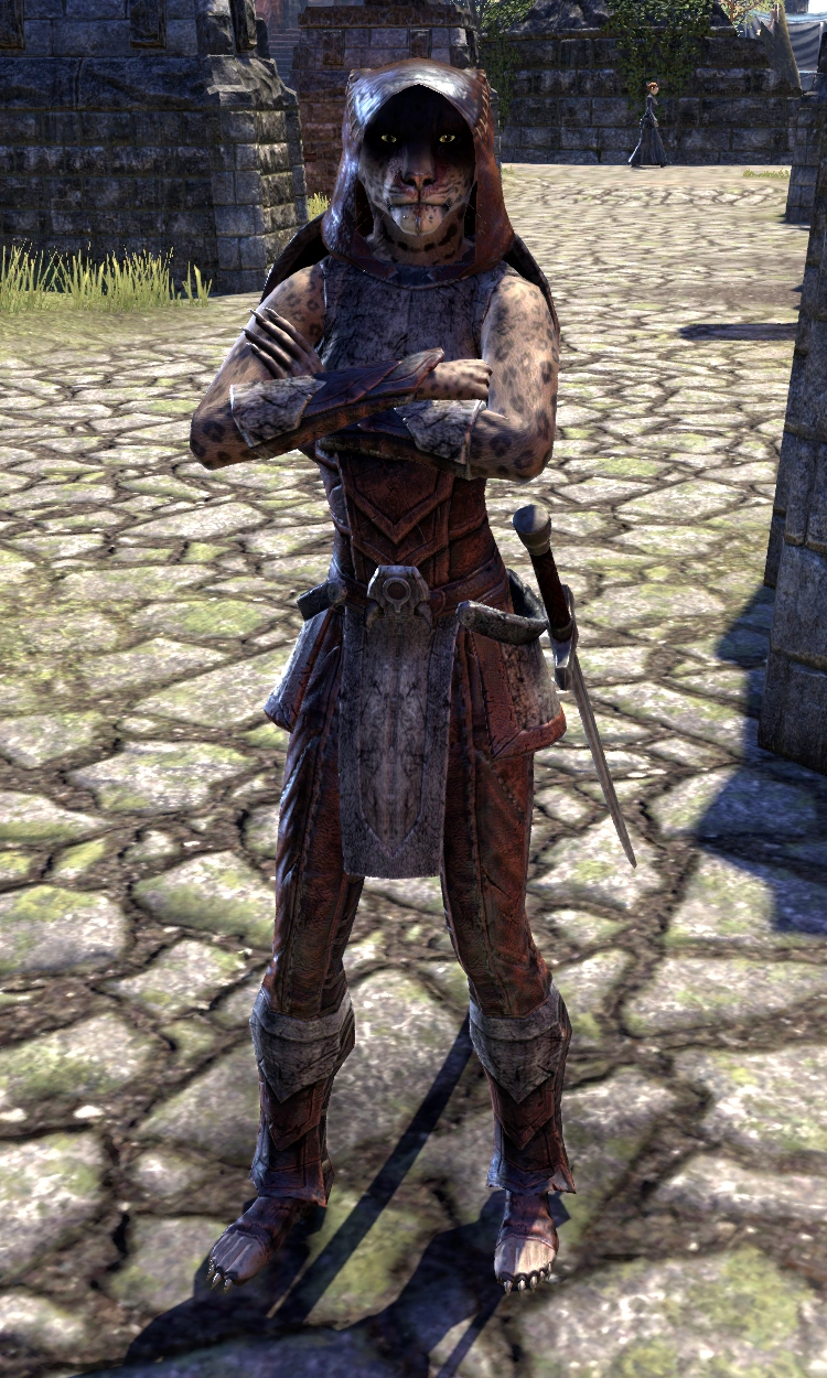 Mistral-Wache | Elder Scrolls Wiki | Fandom